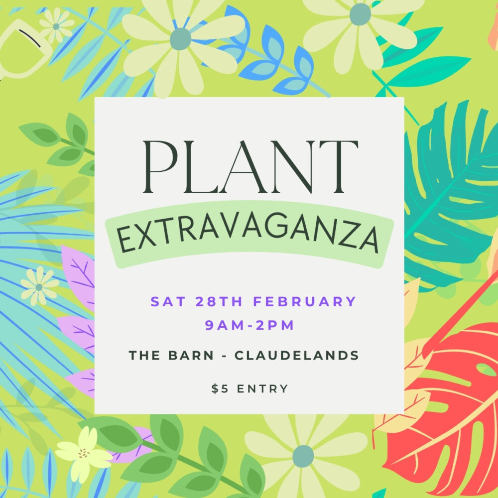 Plant Extravaganza! Hamilton Plant Market